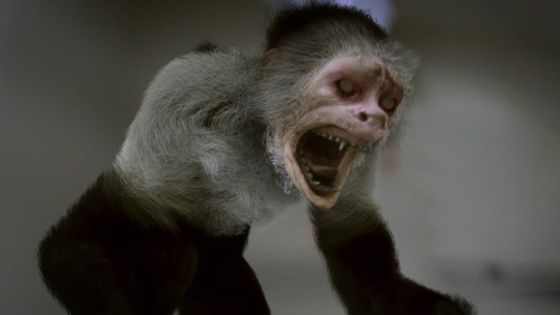 Zoombies – Rakuten TV